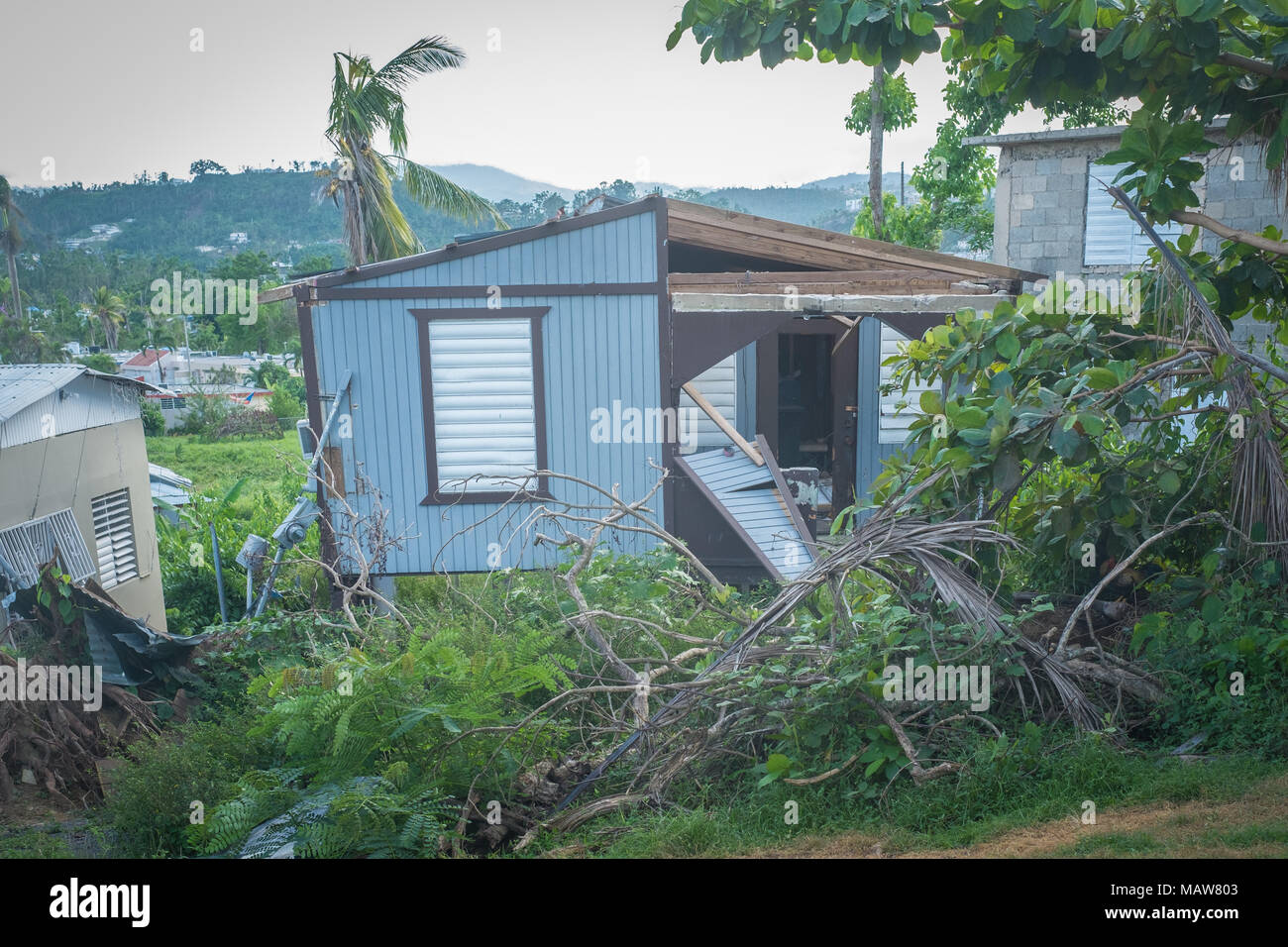 Damage from Hurricane Maria in Caimito, Puerto Rico Stock Photo - Alamy