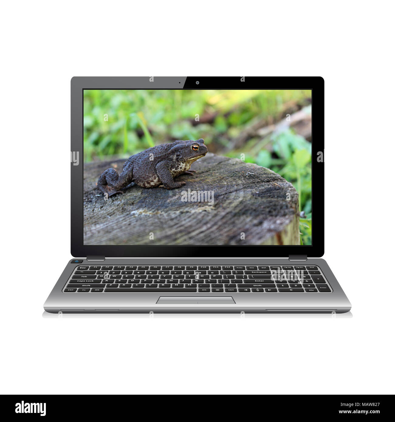 Presentation on environment nature hi-res stock photography and images ...