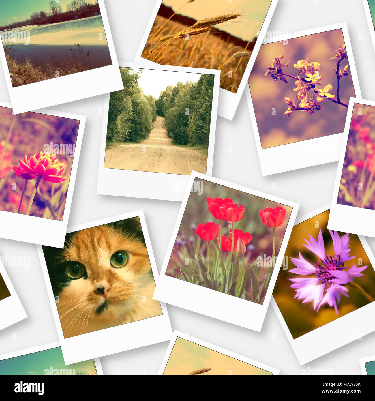 Photo collage hi-res stock photography and images - Alamy