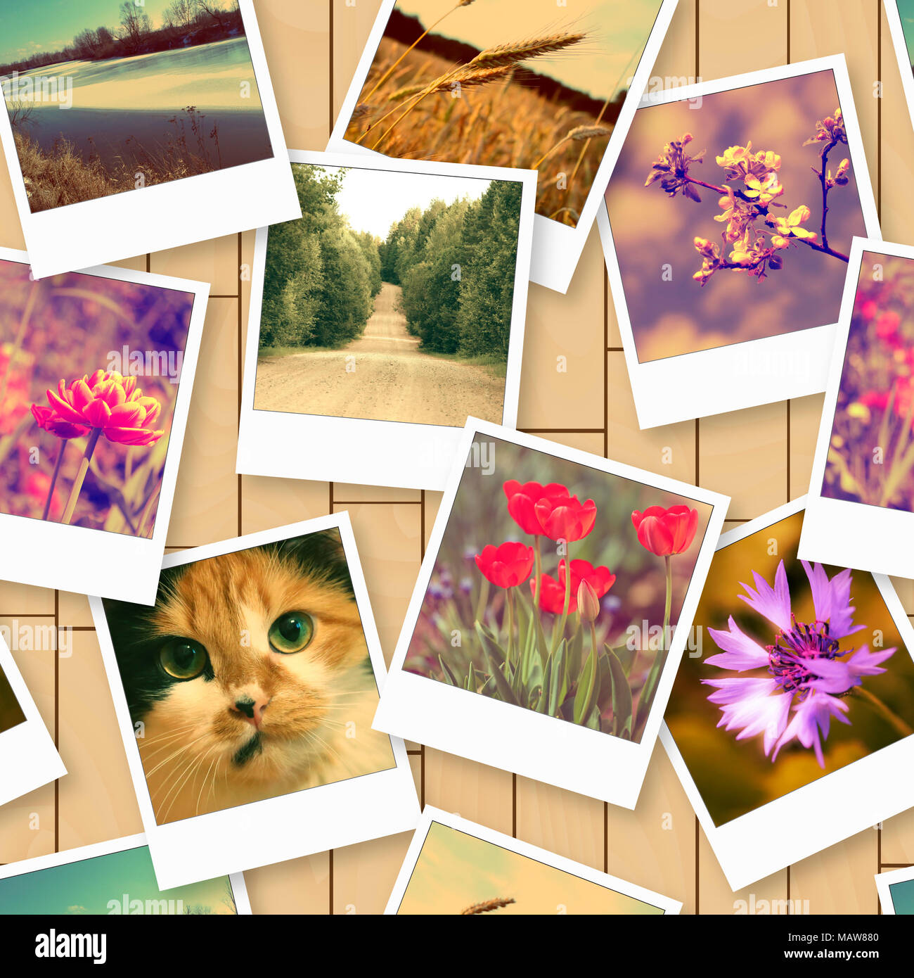 Flower seamless border hi-res stock photography and images - Alamy
