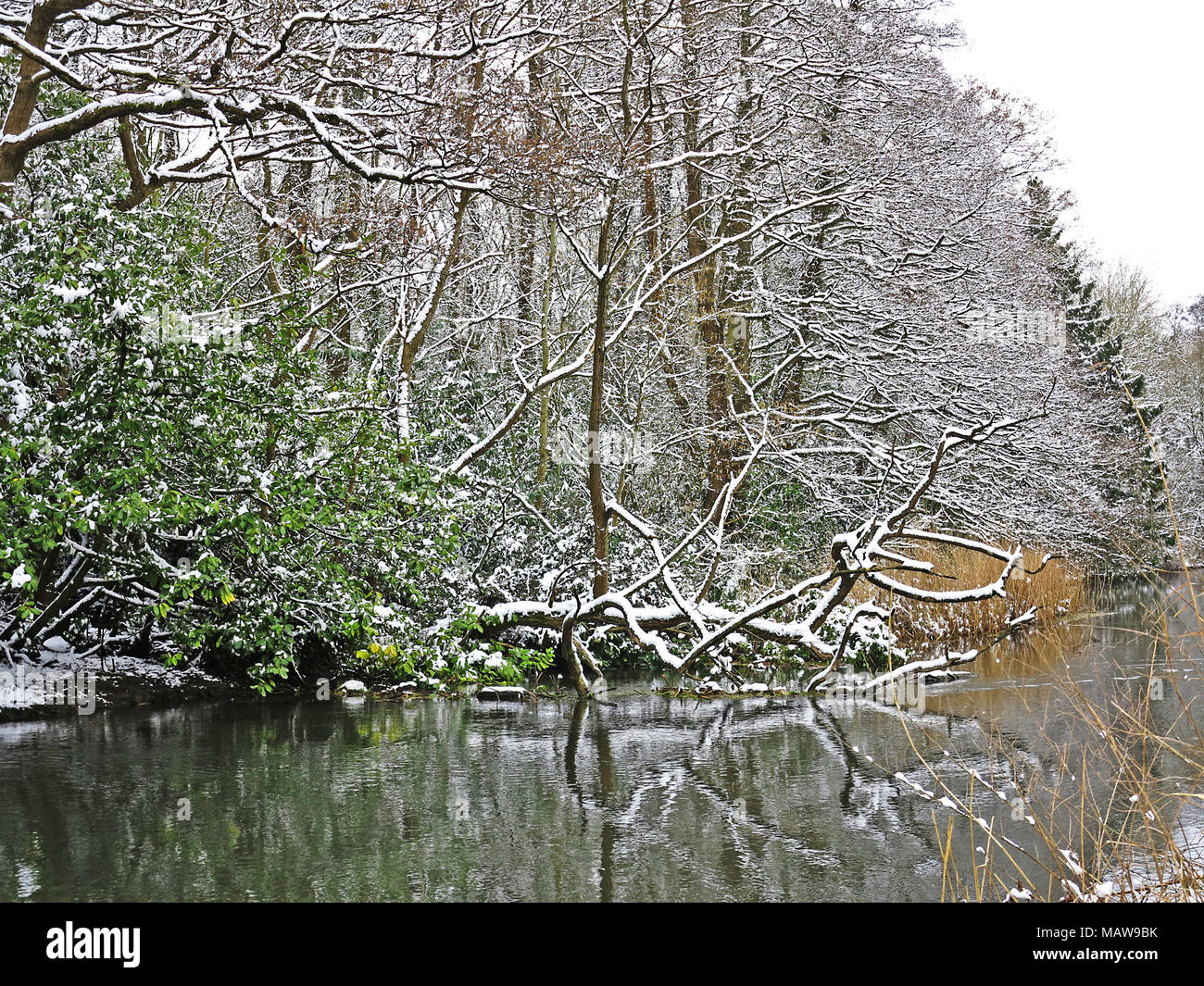 River itchen navigation trail hi-res stock photography and images - Alamy