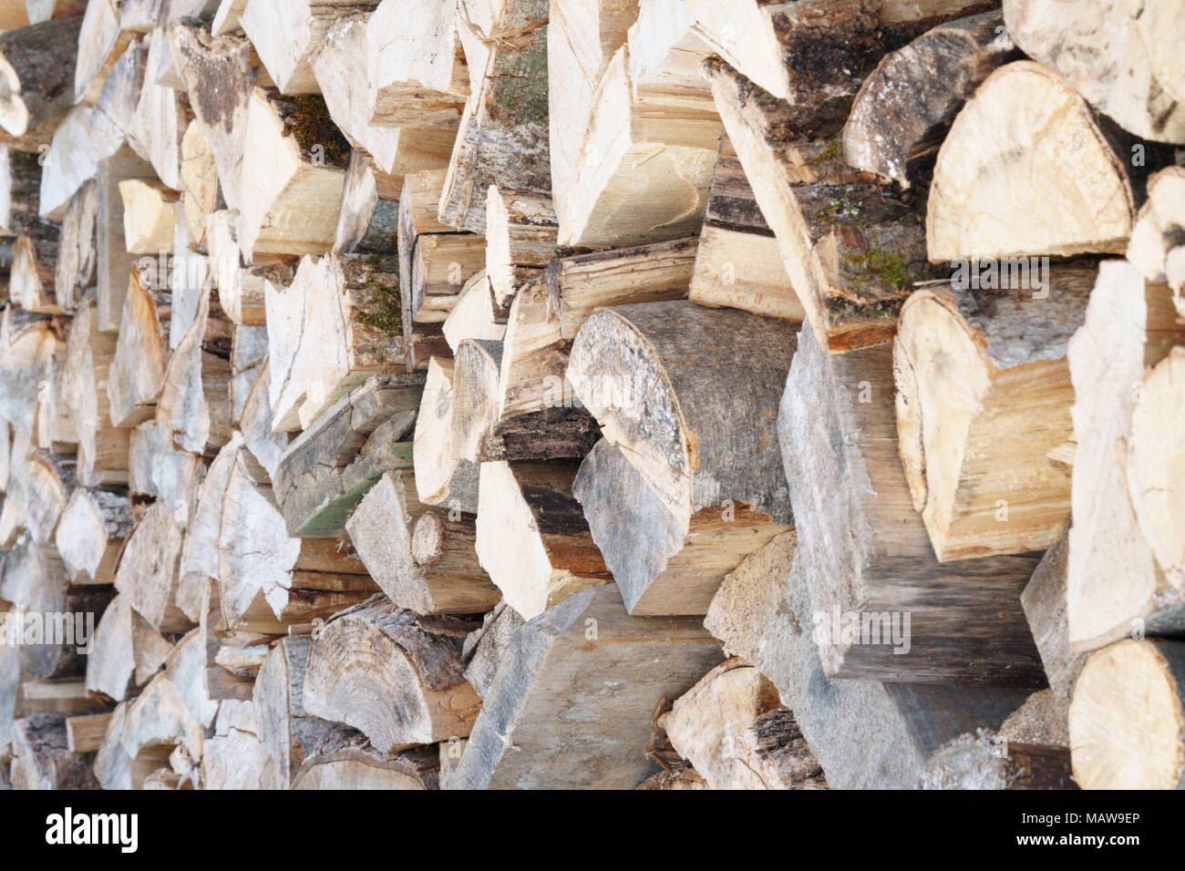 Pile of logs texture hi-res stock photography and images - Alamy