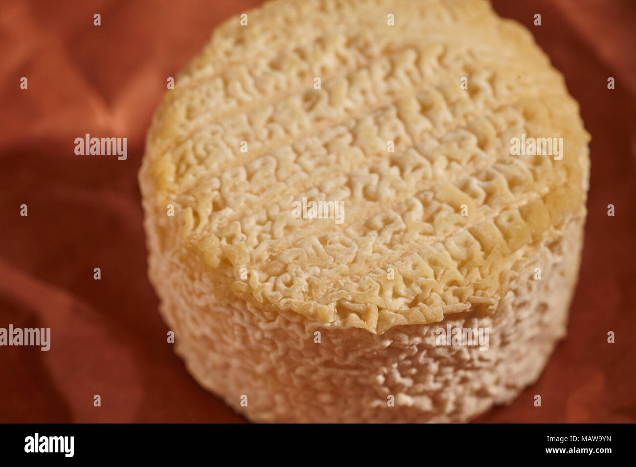 Small round cheese hi-res stock photography and images - Alamy