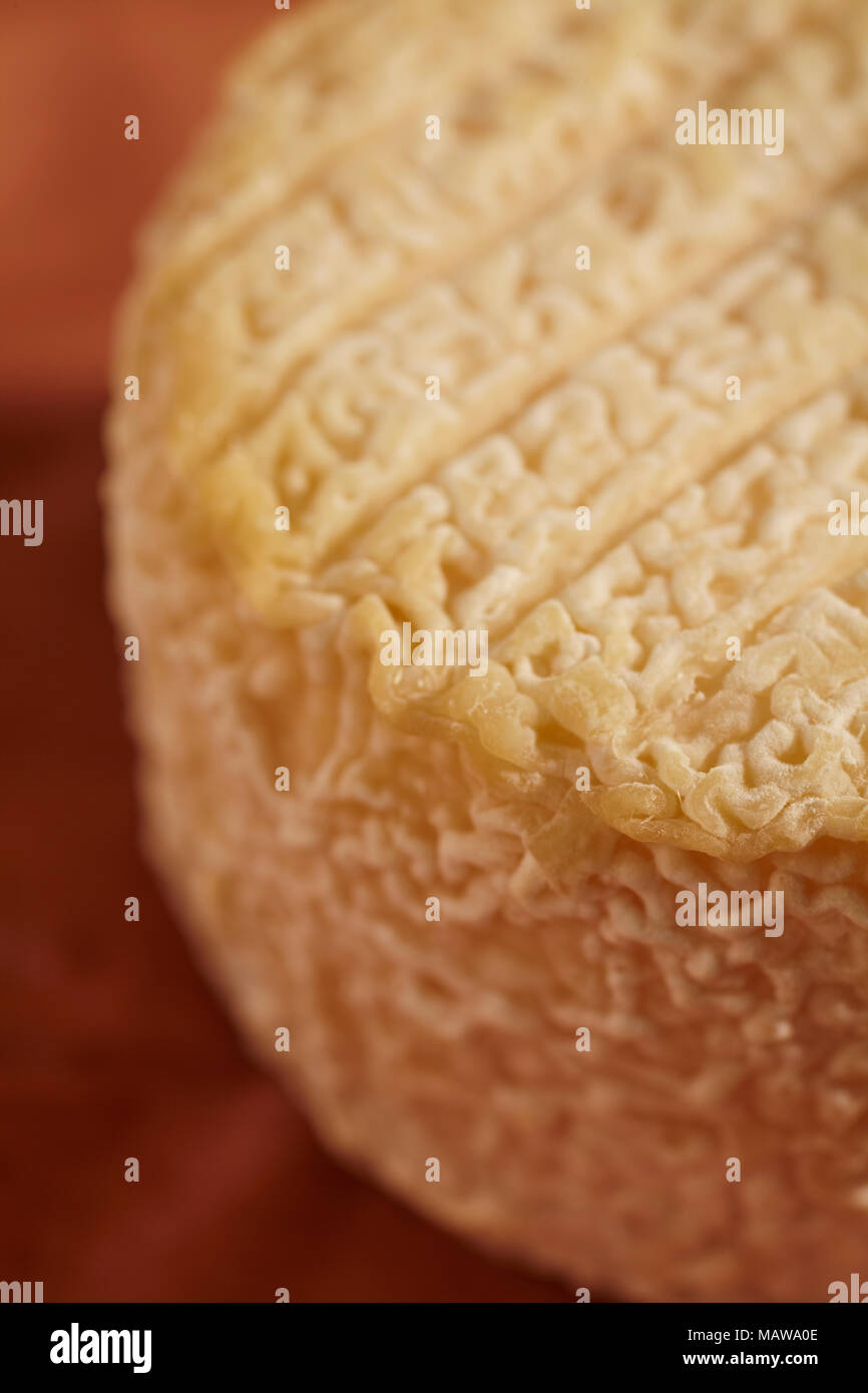 A small round of soft, French, goat cheese Stock Photo - Alamy