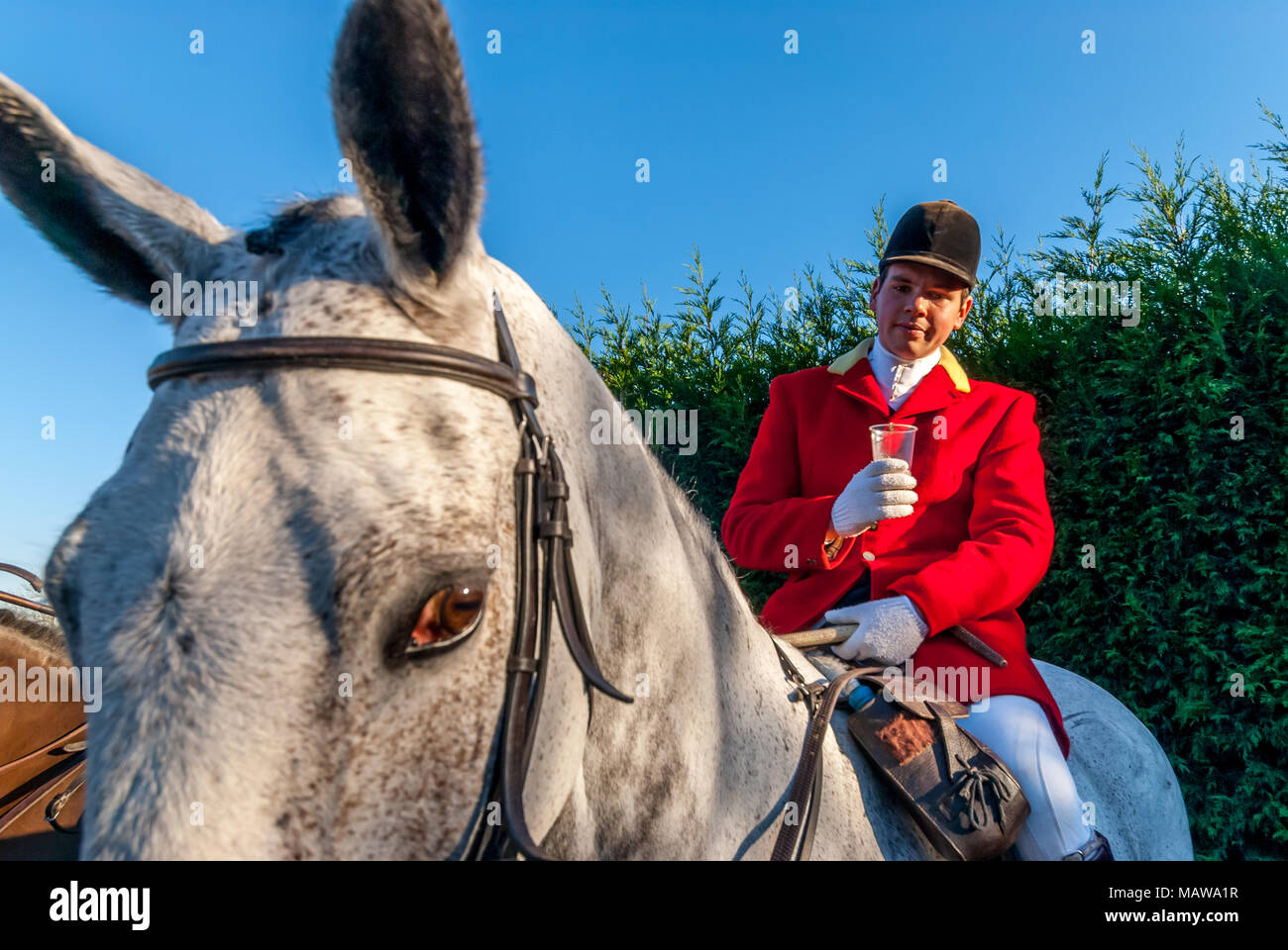 The Boxing Day hunt by the Surrey Union Hunt Stock Photo - Alamy