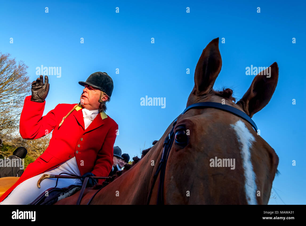 The Boxing Day hunt by the Surrey Union Hunt Stock Photo - Alamy