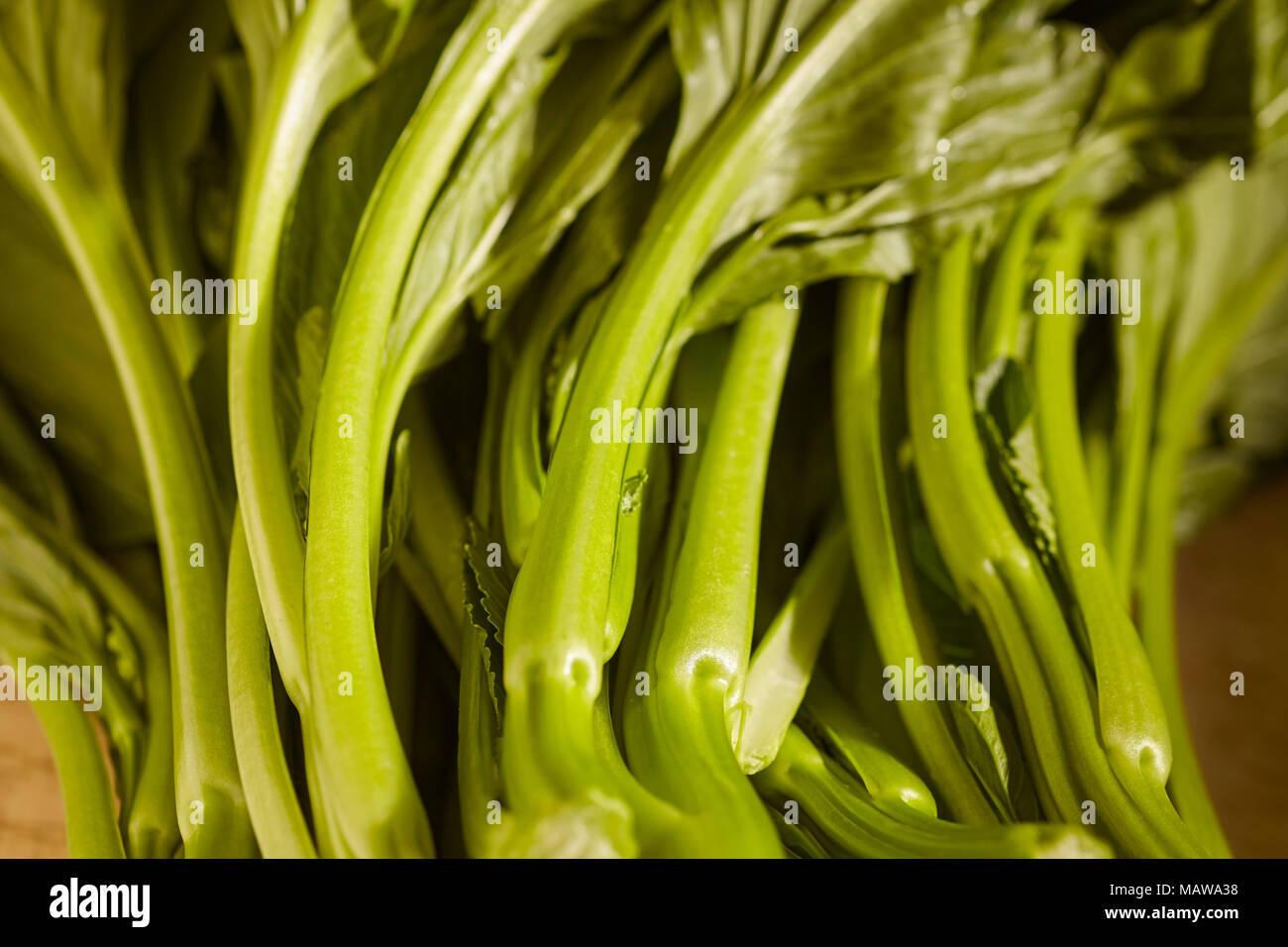 whole, fresh, raw yu choi vegetable. A Chinese favorite Stock Photo - Alamy