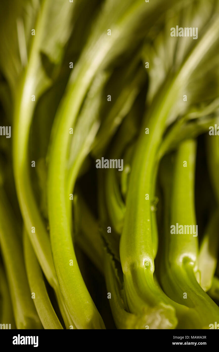 whole, fresh, raw yu choi vegetable. A Chinese favorite Stock Photo - Alamy