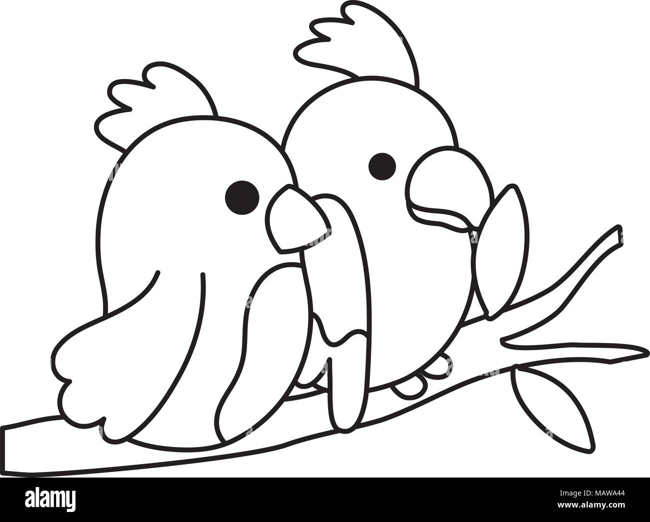 line beauty parrot couple animals in the branch vector illustration ...