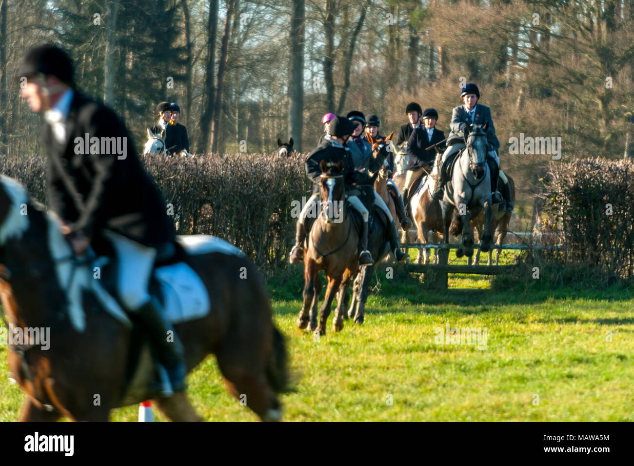 The Boxing Day hunt by the Surrey Union Hunt Stock Photo - Alamy