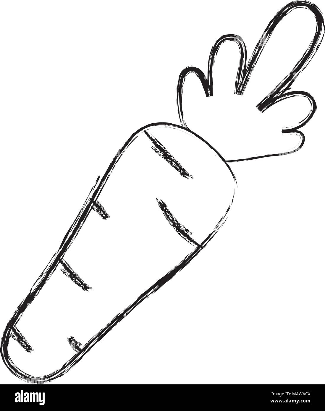 grunge fesh healthy carrot vegetable food vector illustration Stock ...