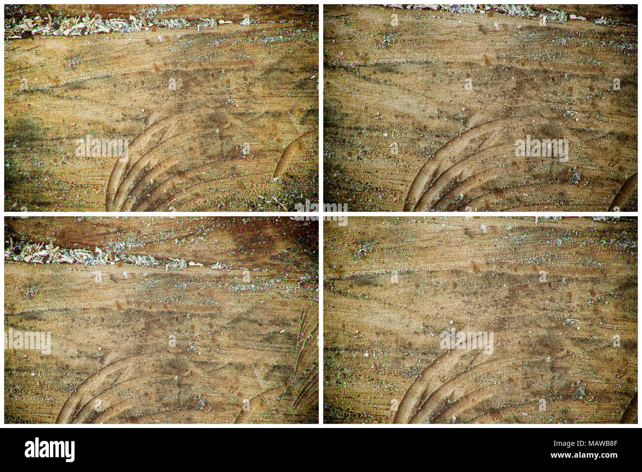 Stump wooden structure for texture or background Stock Photo - Alamy