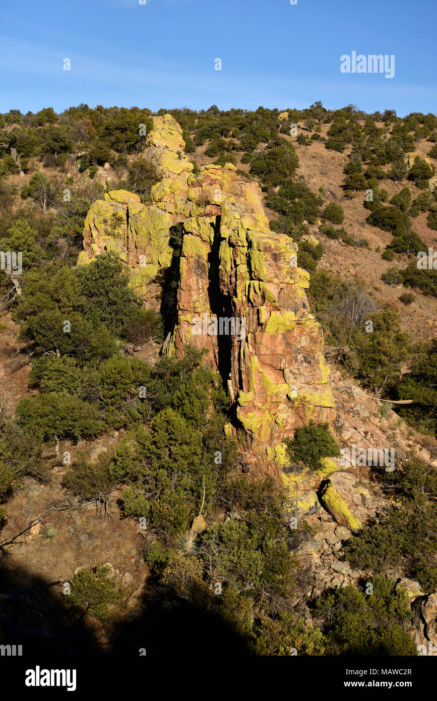 Moss covers a rock formation along the Arizona Trail, north of ...