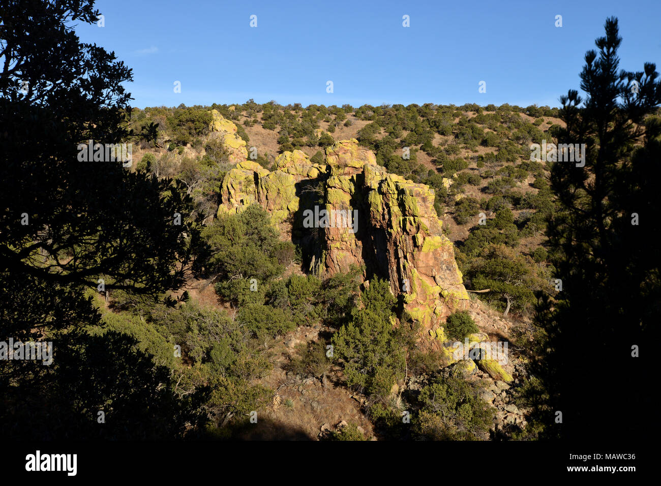 Moss covers a rock formation along the Arizona Trail, north of ...