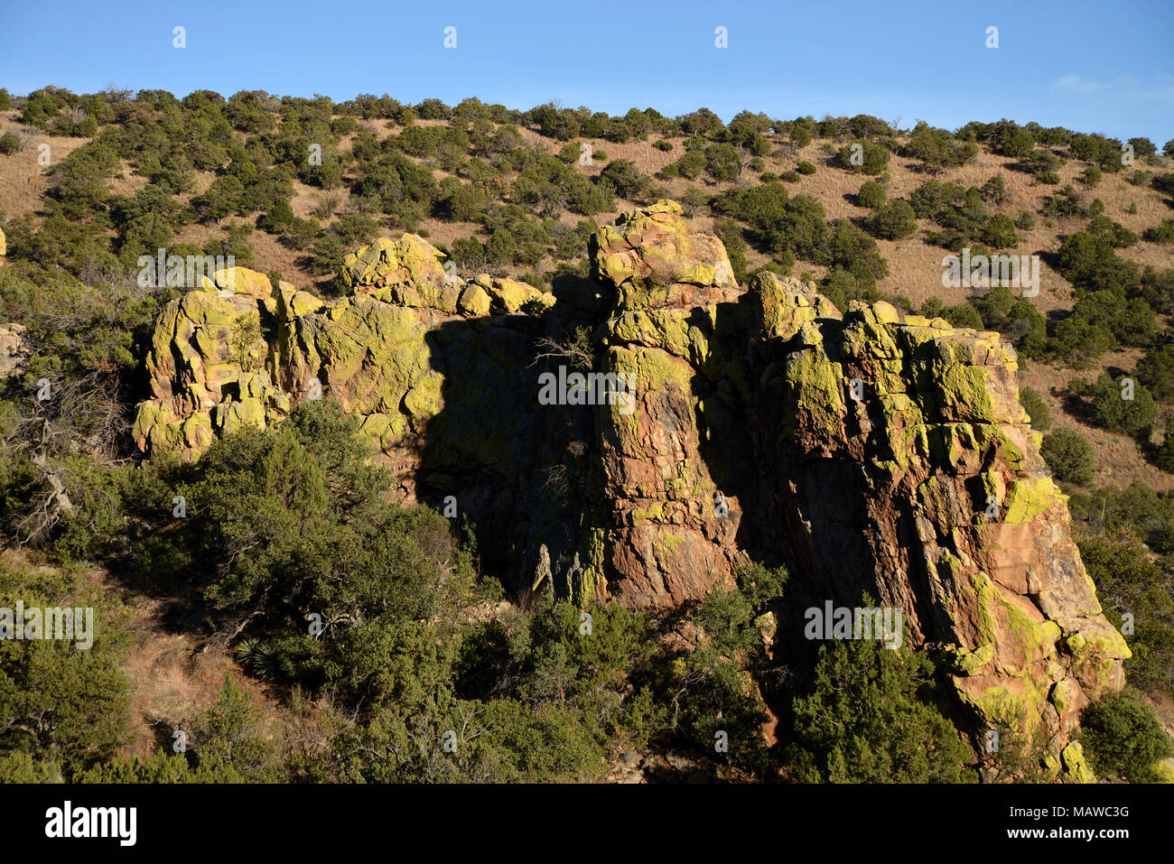 Moss covers a rock formation along the Arizona Trail, north of ...