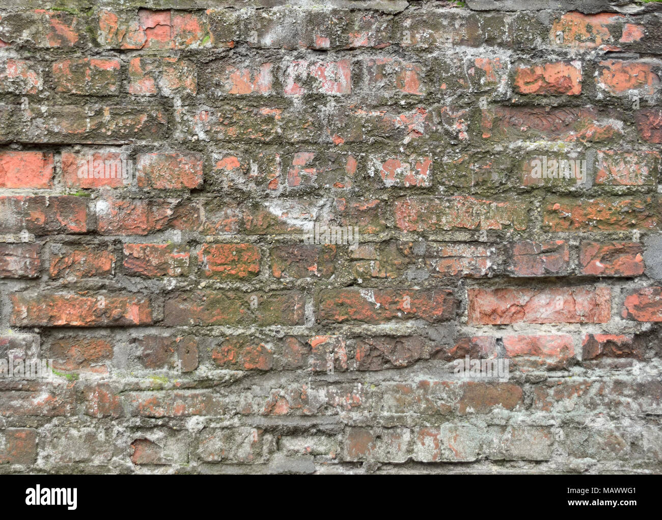 Brick stone wall background, textured stone background. Full frame shot ...