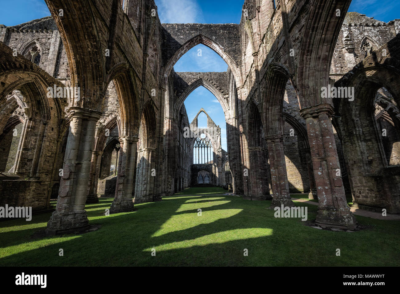 Tintern Abbey church Stock Photo - Alamy