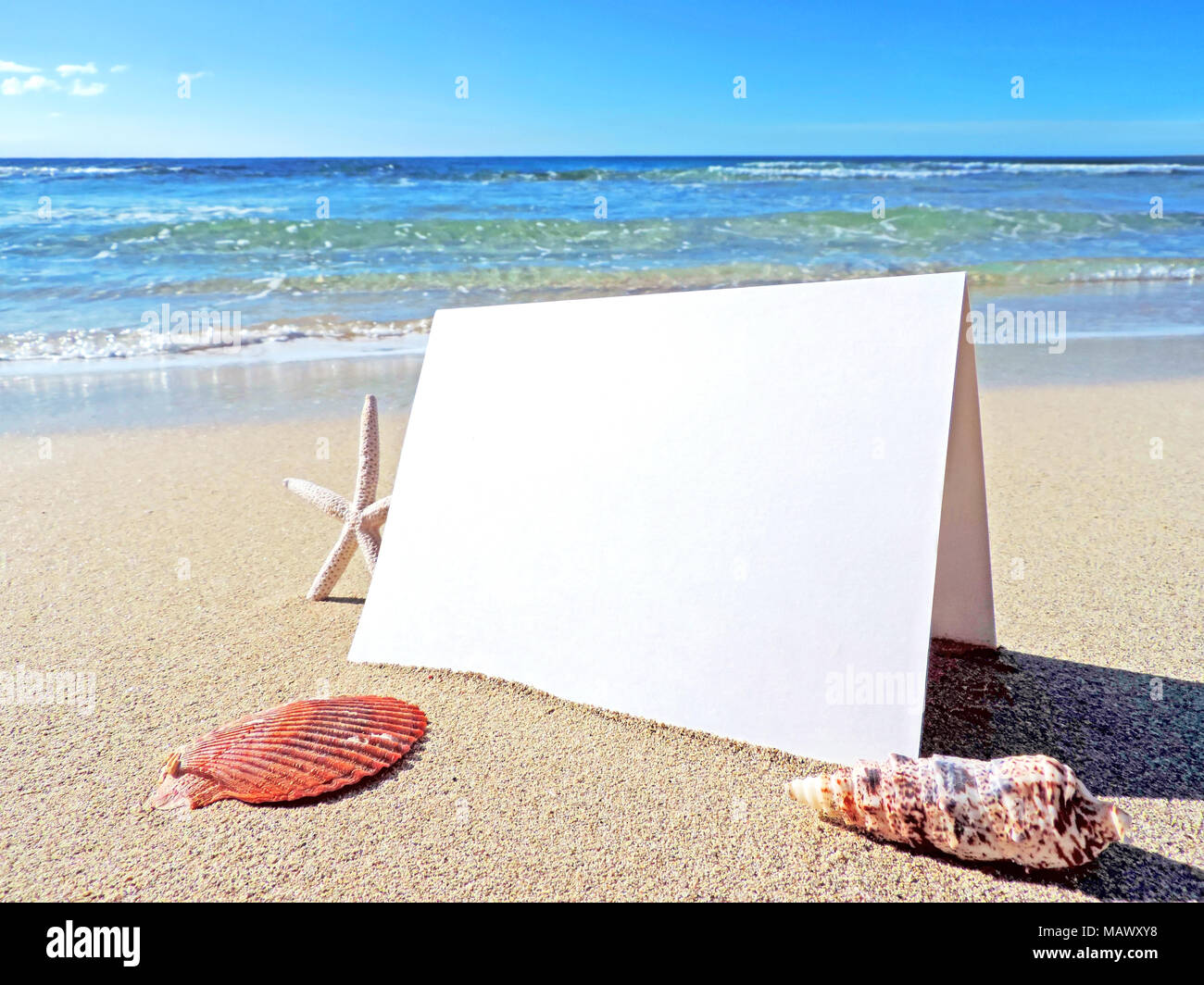 Blank white card or greeting card on the beach with copy space. Summer ...