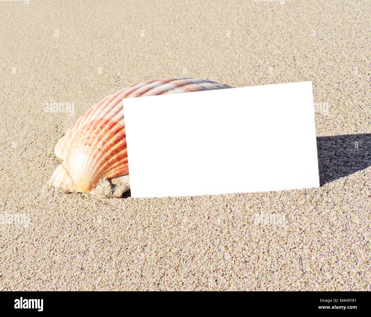 Blank white card or greeting card on the beach with copy space. Summer ...