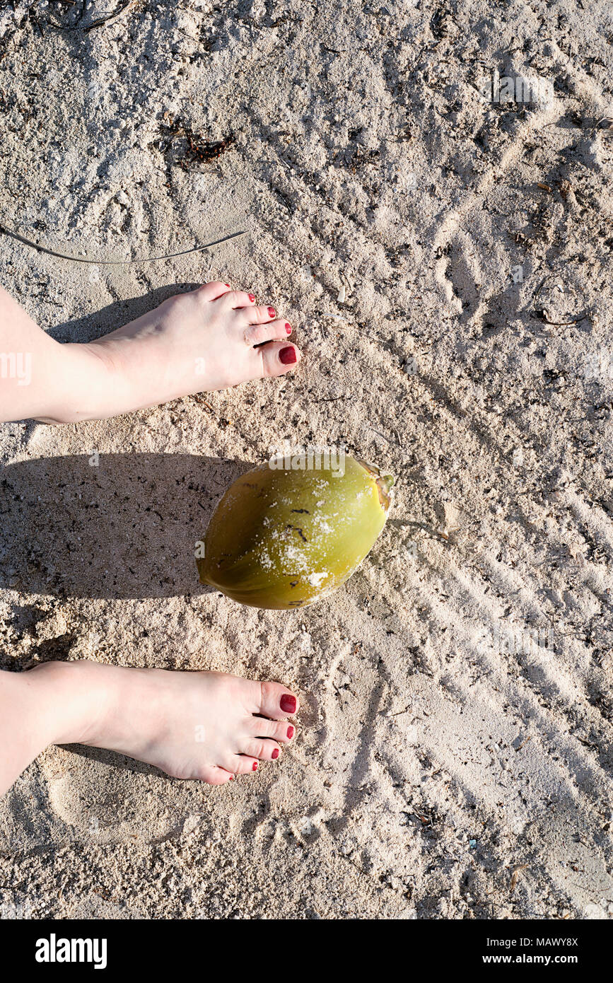 Feet on a beach in San Pedro, Belize, with a coconut Stock Photo - Alamy
