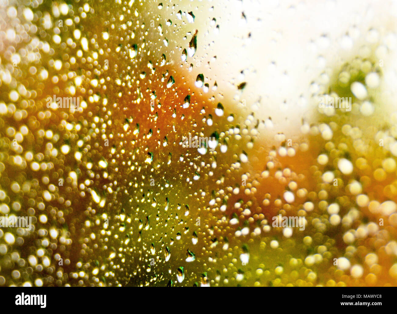 Rain glass storm glass hi-res stock photography and images - Alamy