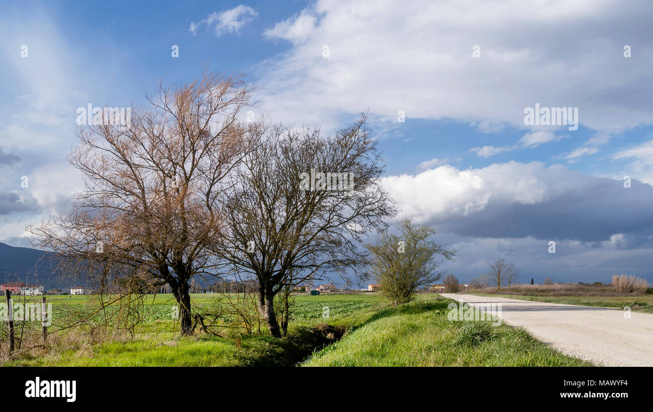 Beautiful tuscan countryside in hi-res stock photography and images - Alamy
