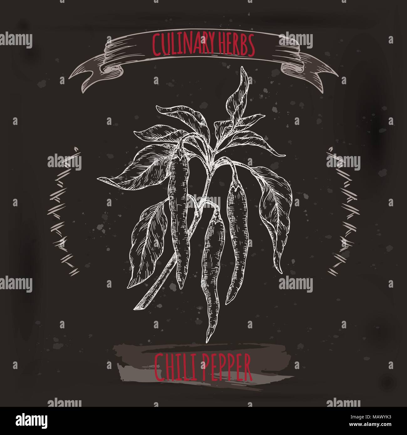 Capsicum annuum on plant Stock Vector Images - Alamy