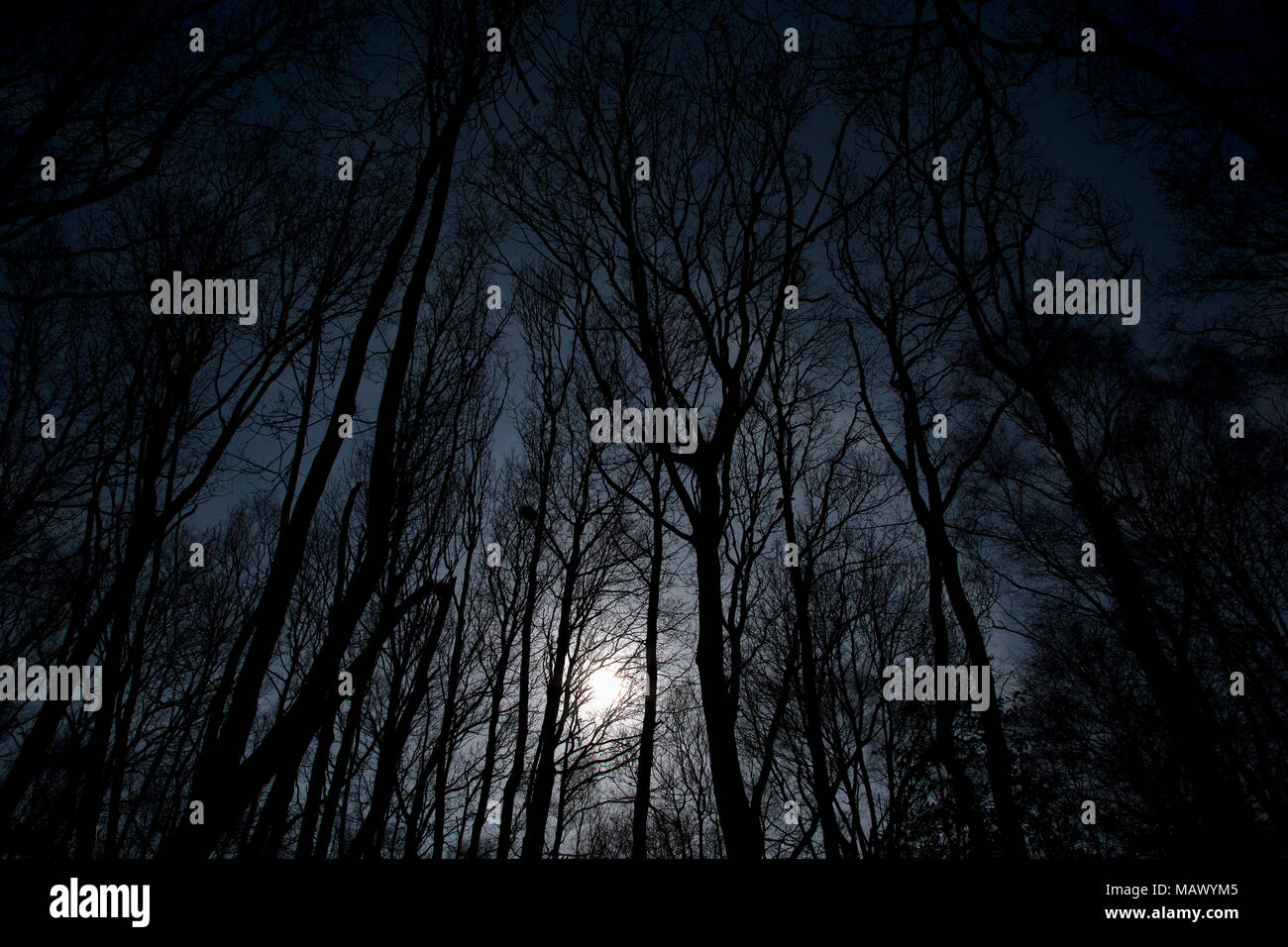 Midday lighting hi-res stock photography and images - Alamy