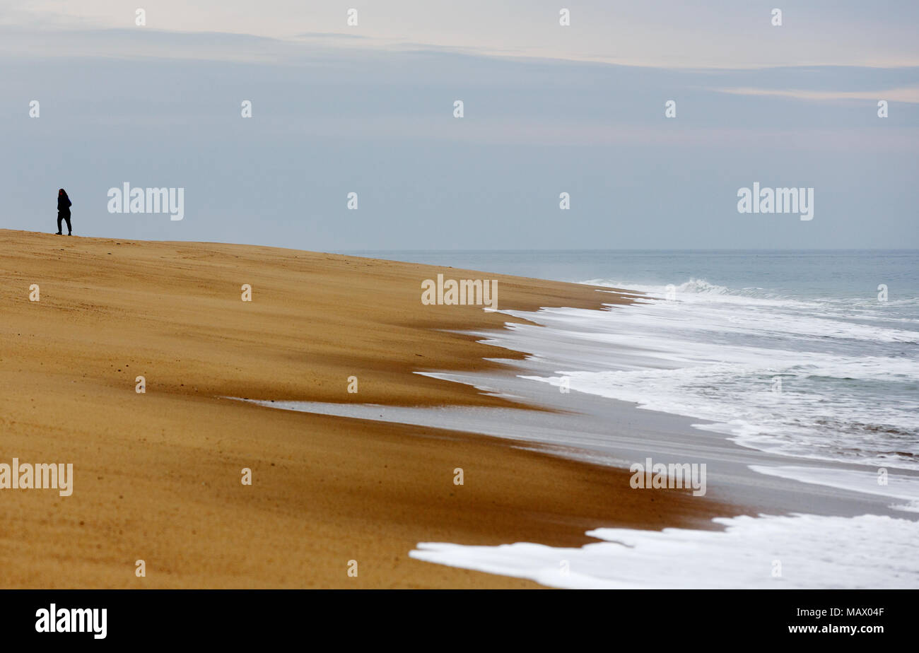 Lone person on the beach, winter off season, Cape Cod National Seashore ...