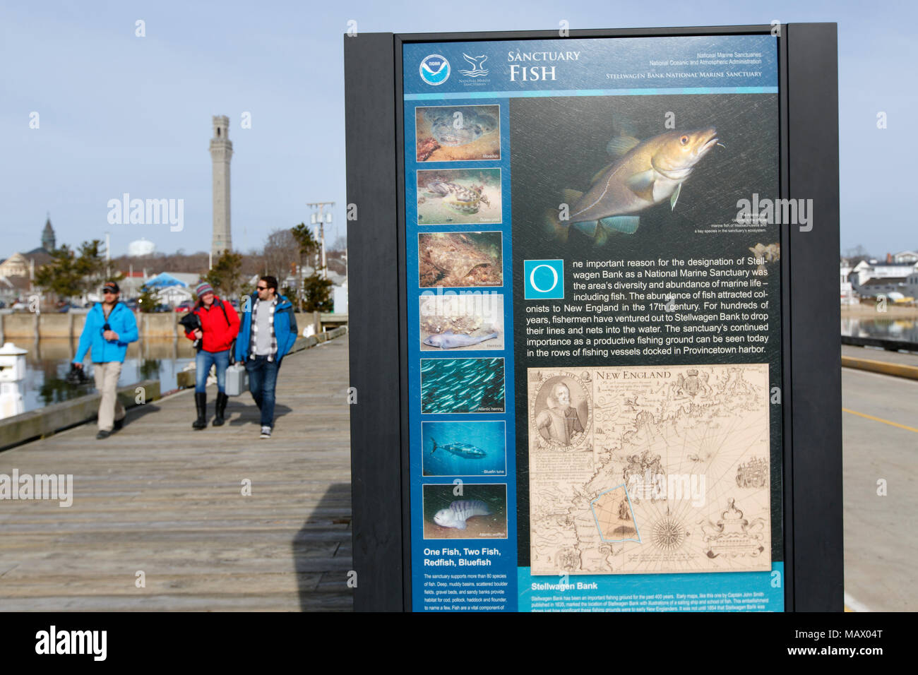 MacMillan Pier , winter off season, Provincetown, Cape Cod ...