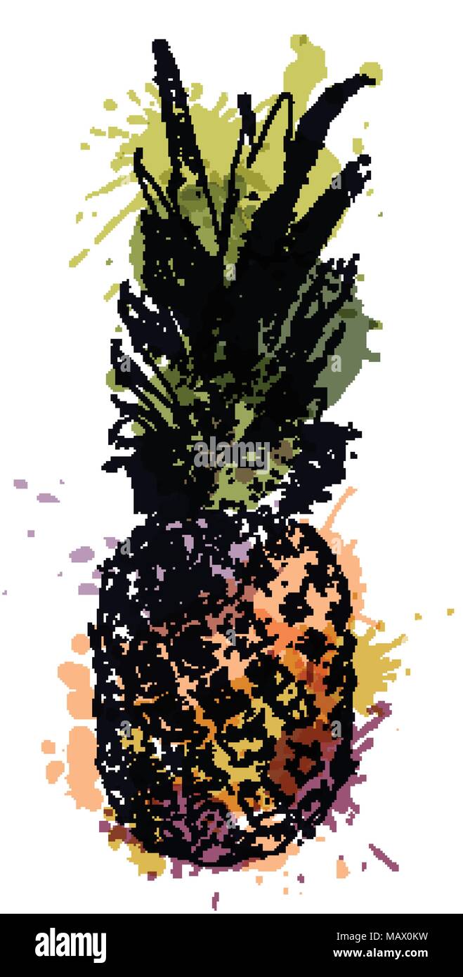 Vector Single Sketch Pineapple Stock Vector Image & Art - Alamy