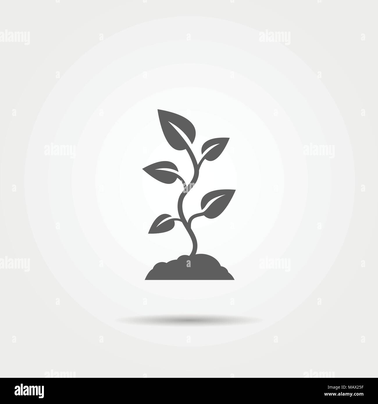 Plant sprout icon Stock Vector Image & Art - Alamy