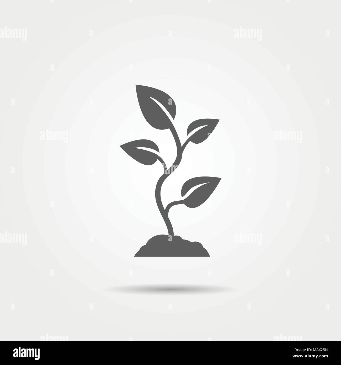 Sprout icon vector vectors hi-res stock photography and images - Alamy