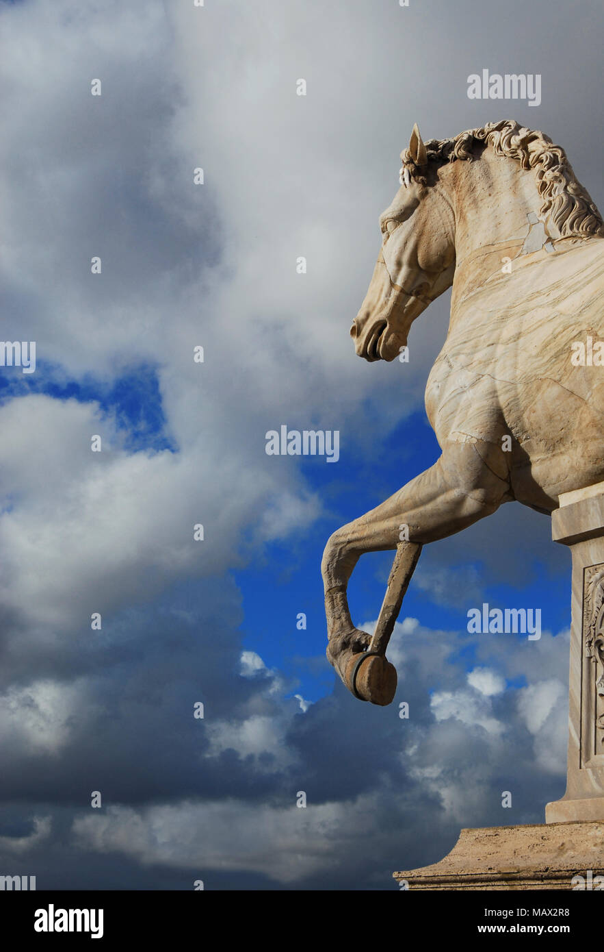 Ancient roman marble statue of an horse at the top of Capitoline Hill ...