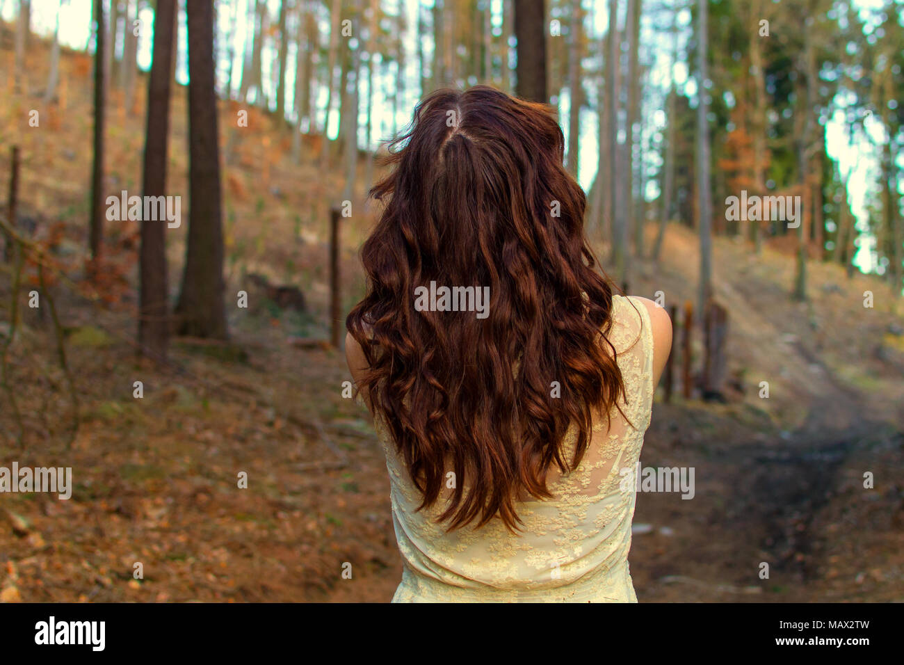 Woman looking at fallen tree hi-res stock photography and images - Alamy