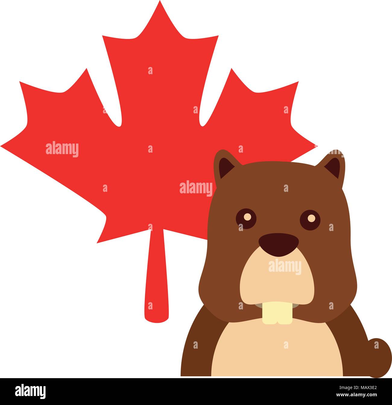 Canada Symbol Beaver High Resolution Stock Photography and Images - Alamy