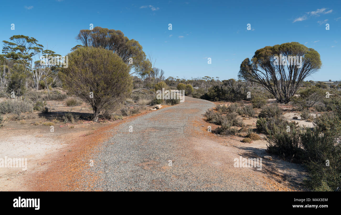 Landscape around the Wave Rock, famous place in the outback of Western ...