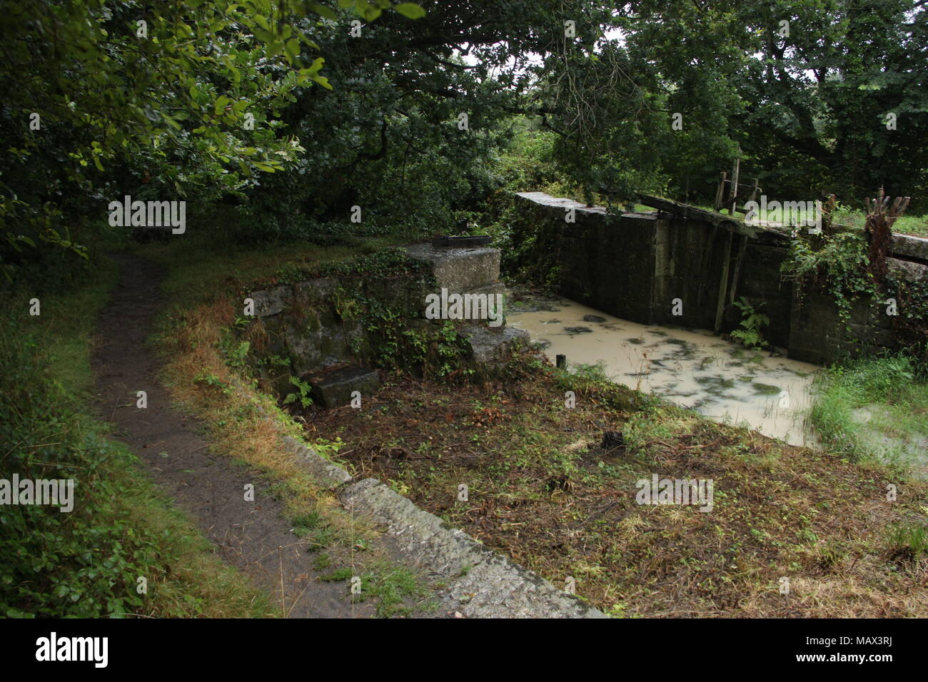 Teigngrace devon hi-res stock photography and images - Alamy