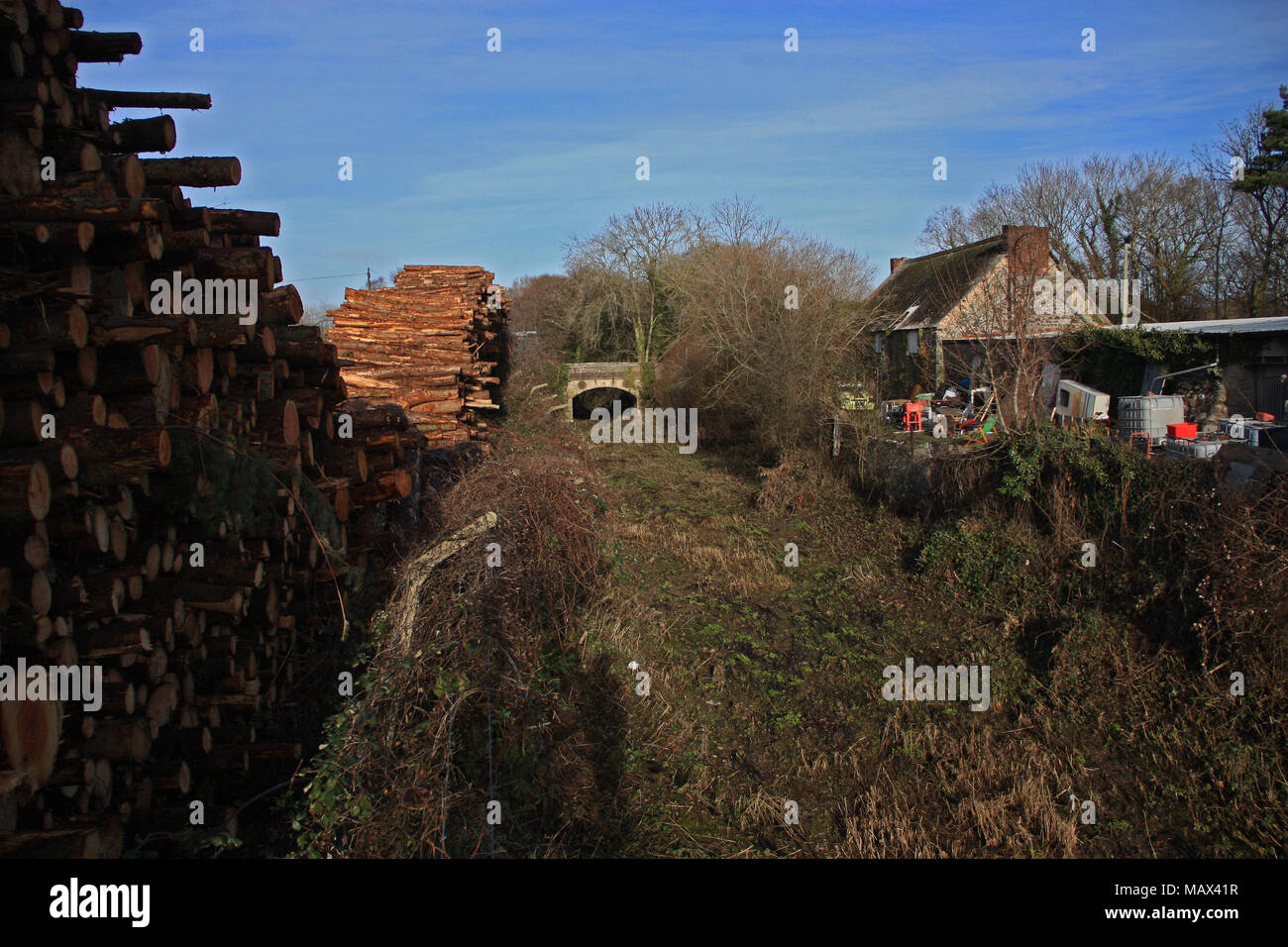 Teigngrace devon hi-res stock photography and images - Alamy