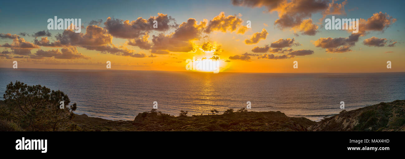 Torrey pines state park hi-res stock photography and images - Alamy
