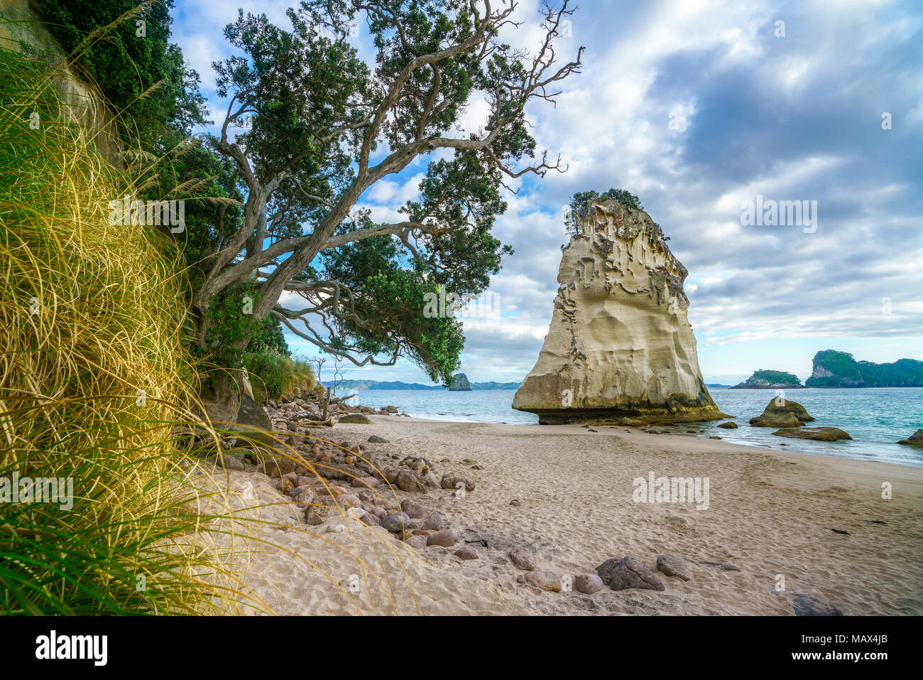 stones in the sand, green grass on the cliff and sandstone rock ...