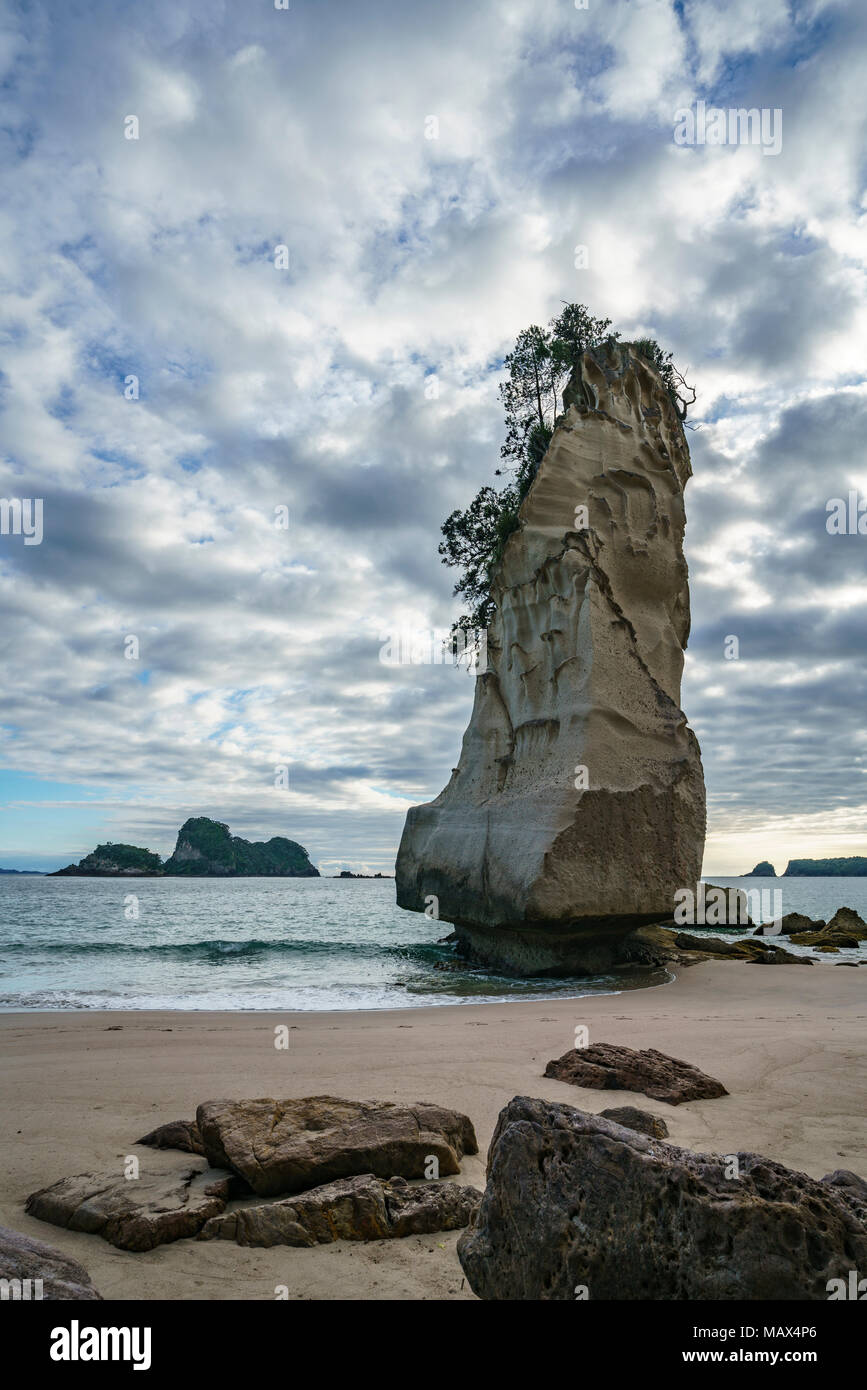 sand and the mighty sandstone rock monolith in the water of cathedral ...