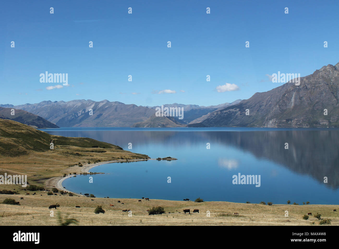 Lake Hawea, New Zealand Stock Photo - Alamy