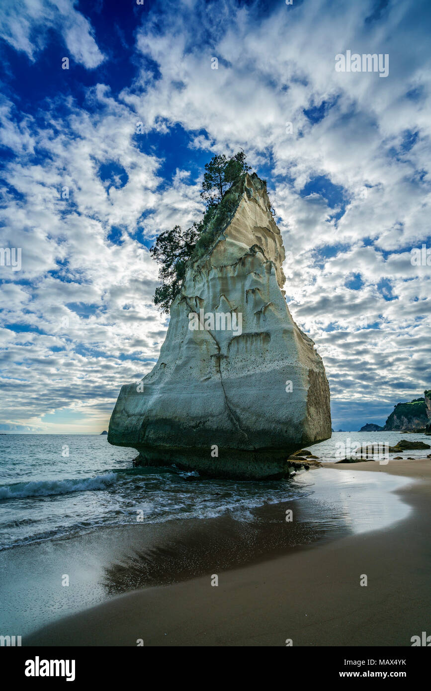 sand and the mighty sandstone rock monolith in the water of cathedral ...