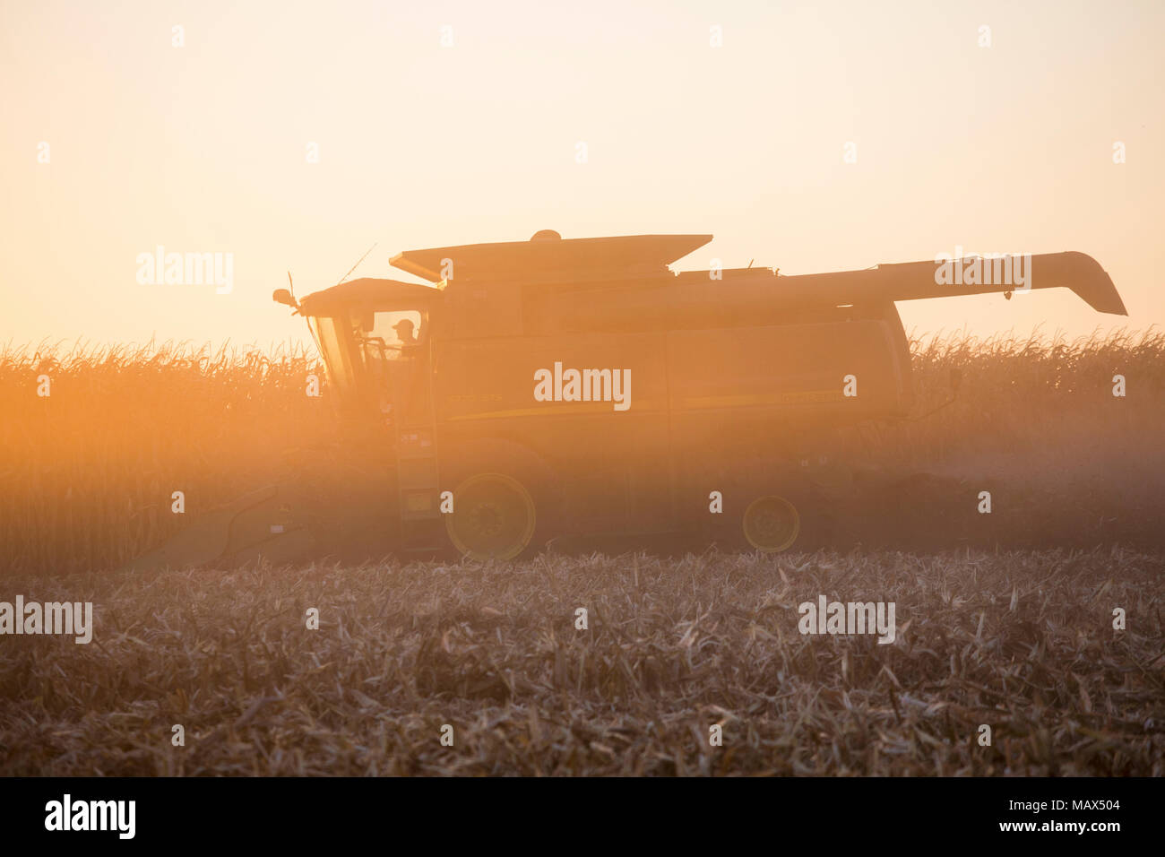 63801-06713 John Deere combine harvesting corn at sunset, Marion Co ...