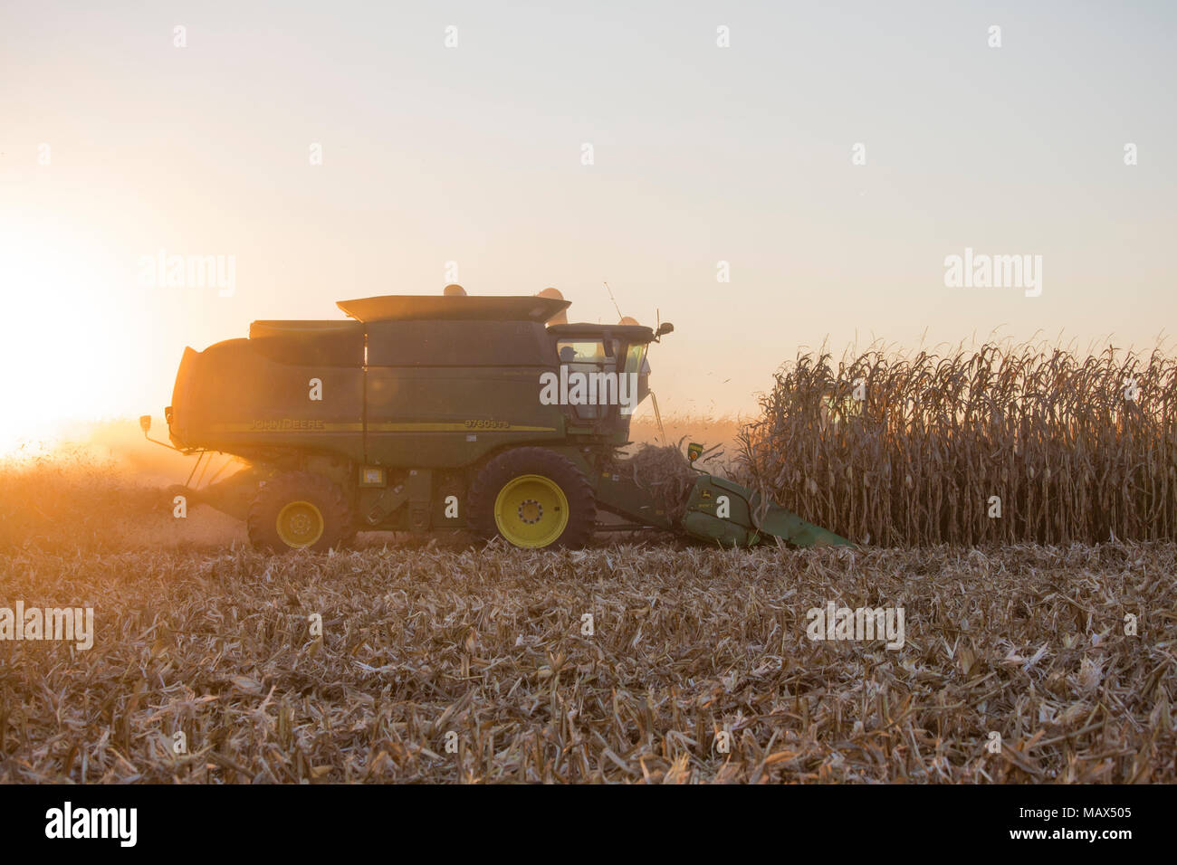 63801-06715 John Deere combine harvesting corn at sunset, Marion Co ...