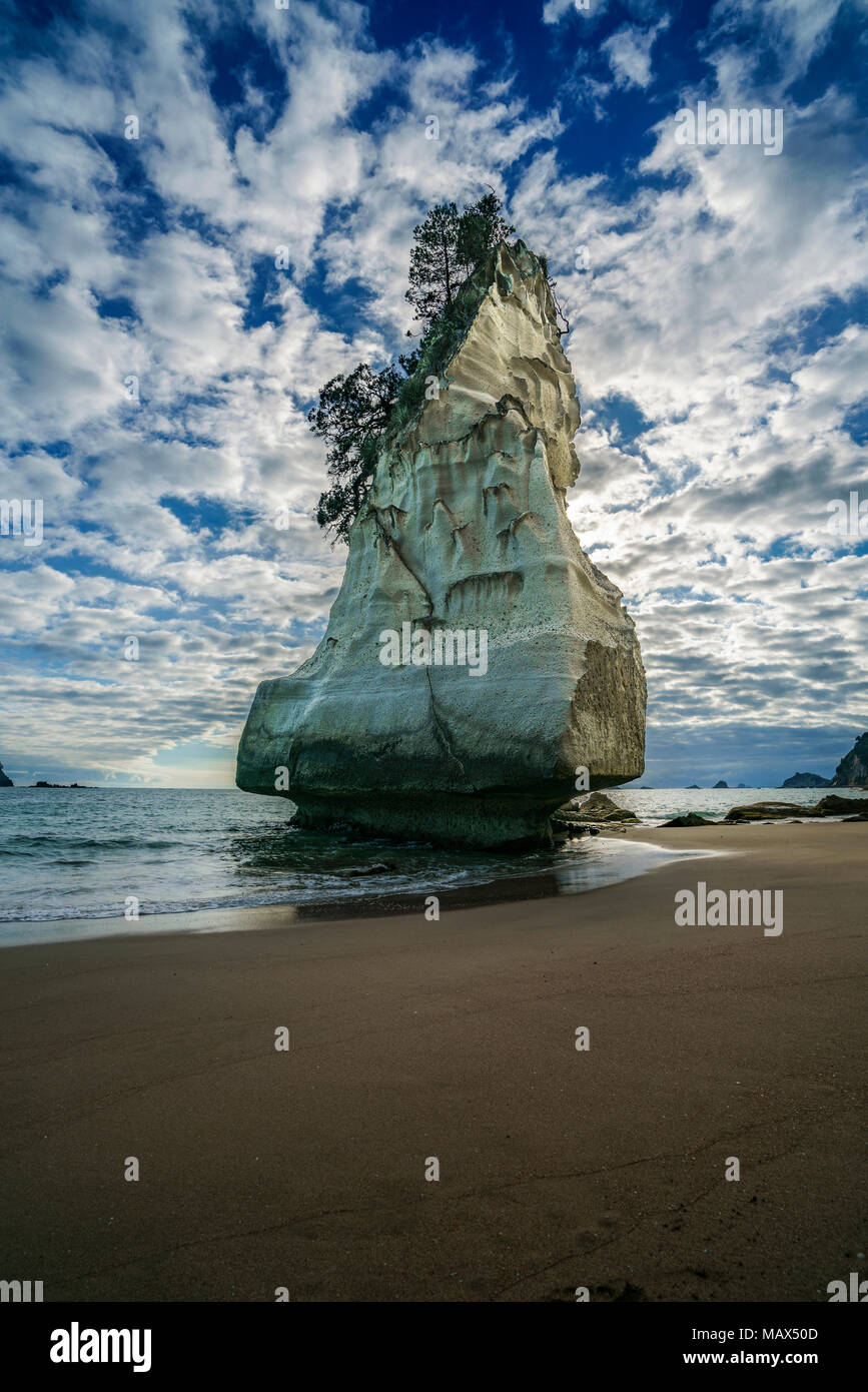 sand and the mighty sandstone rock monolith in the water of cathedral ...
