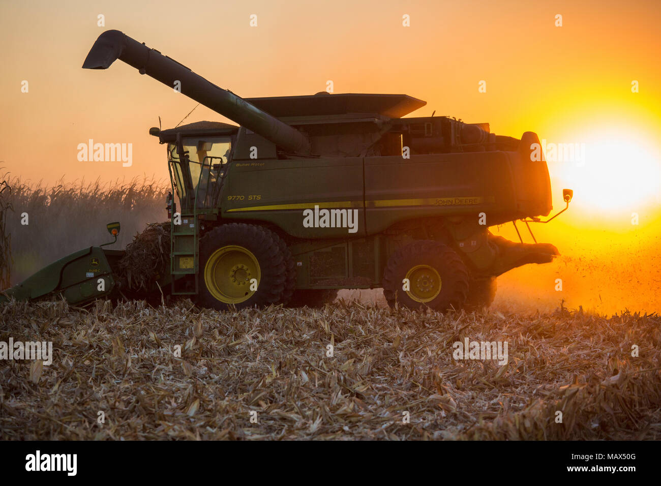 Corn Harvest Sunset
