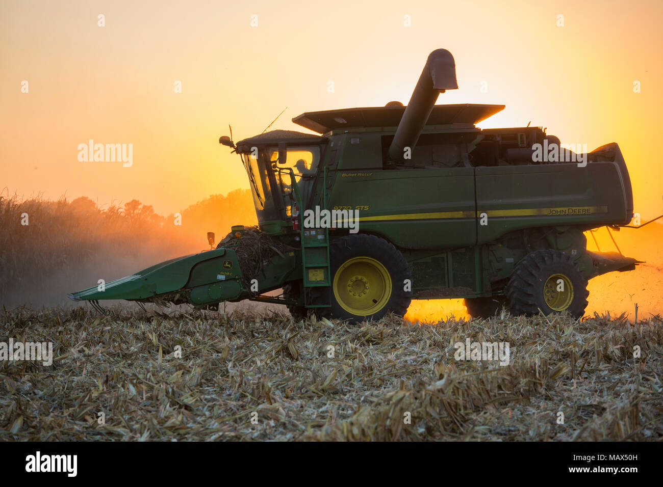 63801-06801 John Deere combine harvesting corn at sunset, Marion Co ...