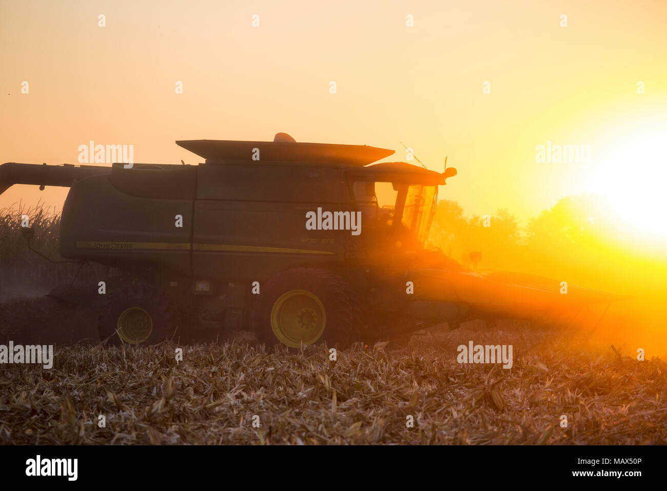 63801-06802 John Deere combine harvesting corn at sunset, Marion Co ...